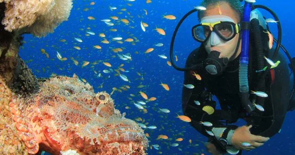 Advanced Open Water | PADI | Scuba Shade Diving