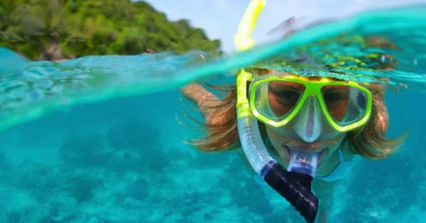 Skin Diver | PADI | Scuba Shade Diving